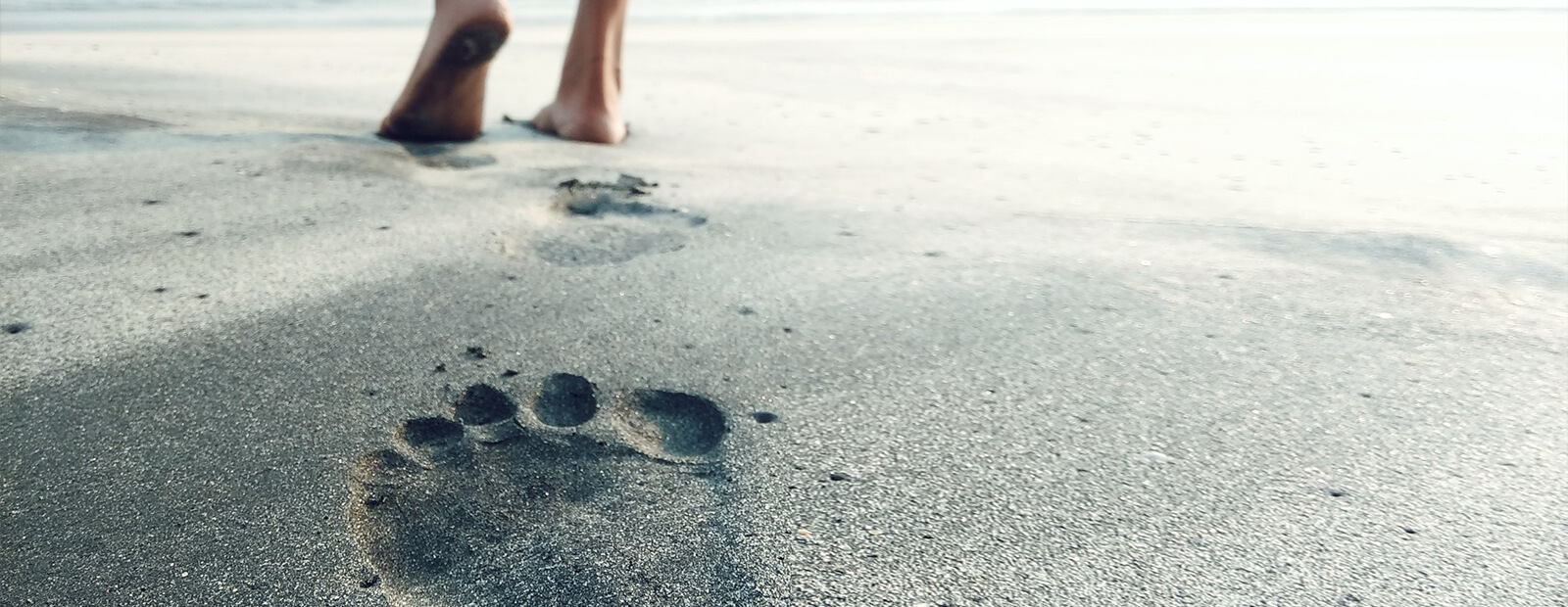 Herstel zelf van een ontstoken peesplaat onder de voet! - Publicaties ...